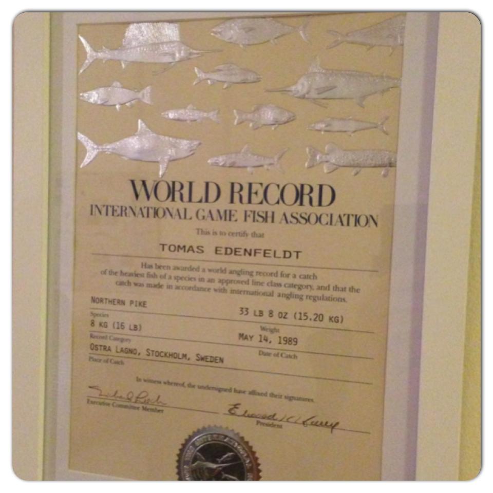 World record pike - Dinfiskeguide.se